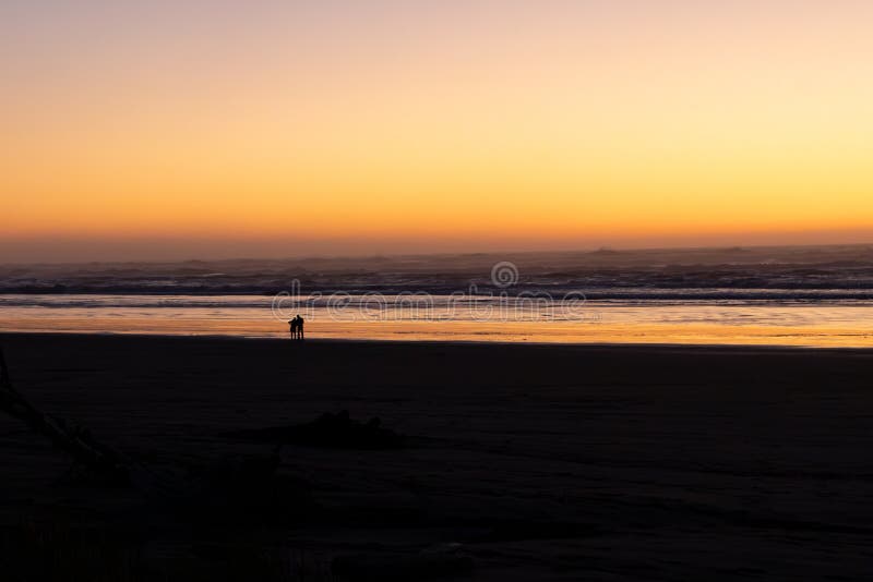 People Watching the Sunset Along the Beach Stock Image - Image of ...