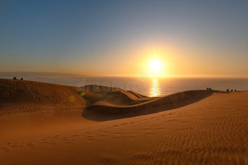 Dune Field of Concon, Chile Stock Photo - Image of ocean, coast: 293311912