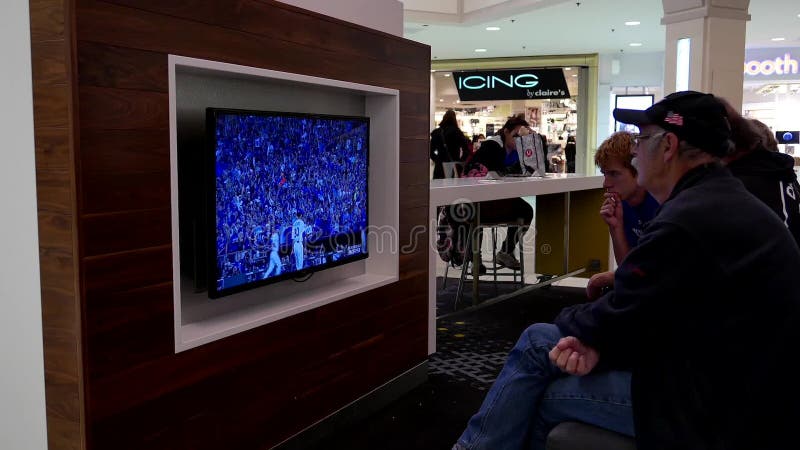 Indoor Baseball and Softball Batting Cages Rendering Stock Video ...