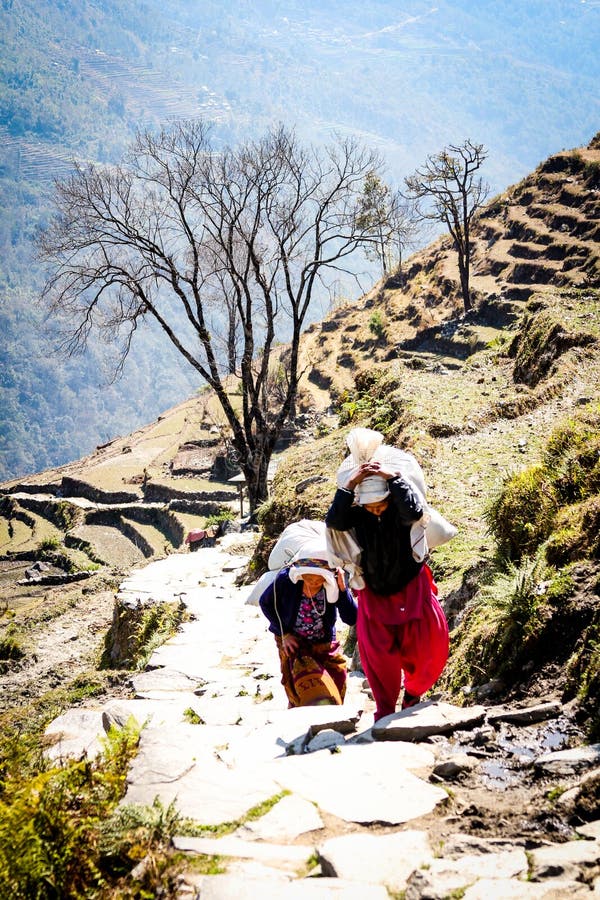 People on Work: Carrying Good on Back and Climbing Steep Stone Stairs ...