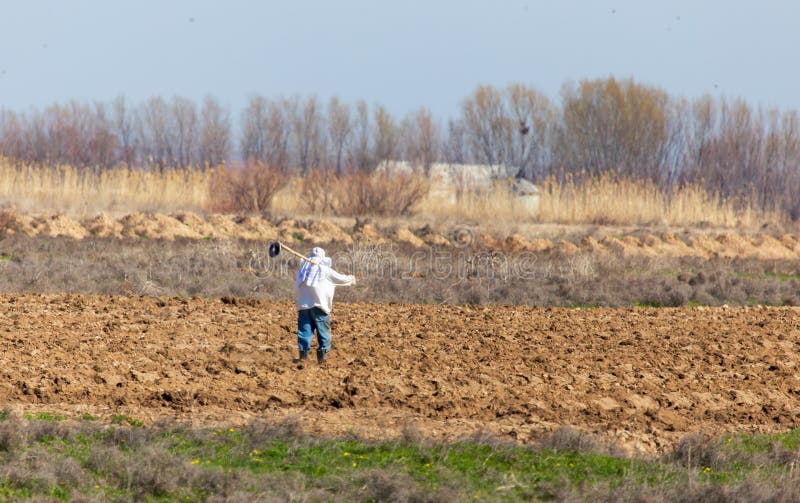 People Work in the Field in the Spring Stock Image - Image of vegetable ...