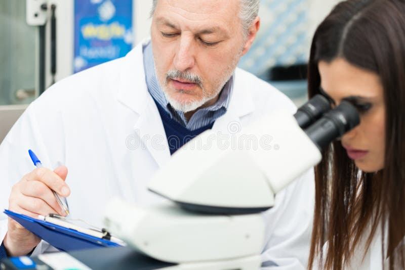 People at Work in a Laboratory Stock Image - Image of analyzing ...