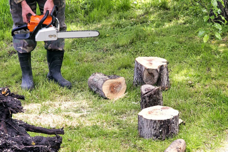 People at Work: Man Sawing Trees. Stock Image - Image of trunk ...