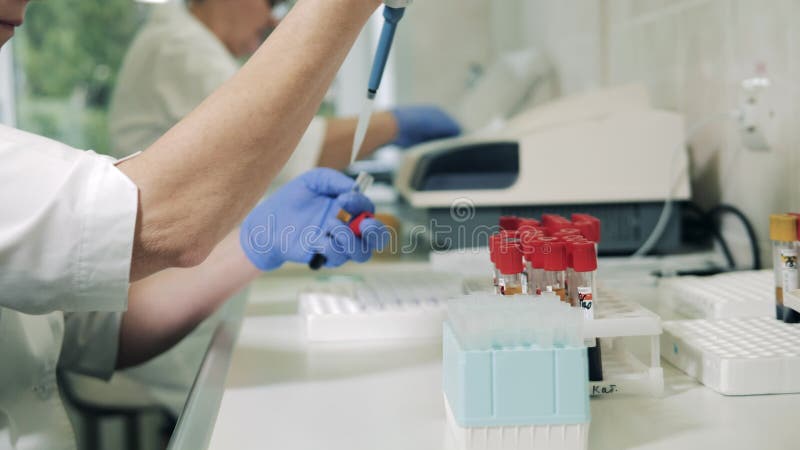 People Work with Plastic Tubes in Laboratory. Stock Video - Video of ...