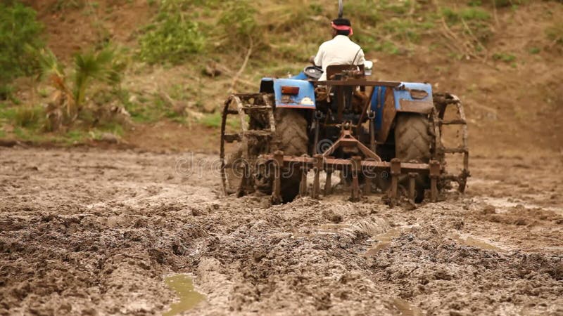 People Working in the Fields Stock Footage - Video of birds, economy ...