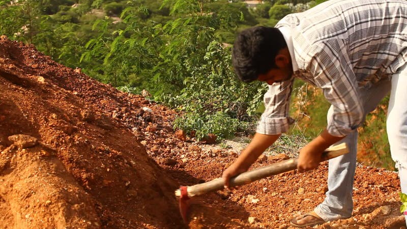 People Working on Agricultural Field, Central Asia. Uzbekistan. Hard ...