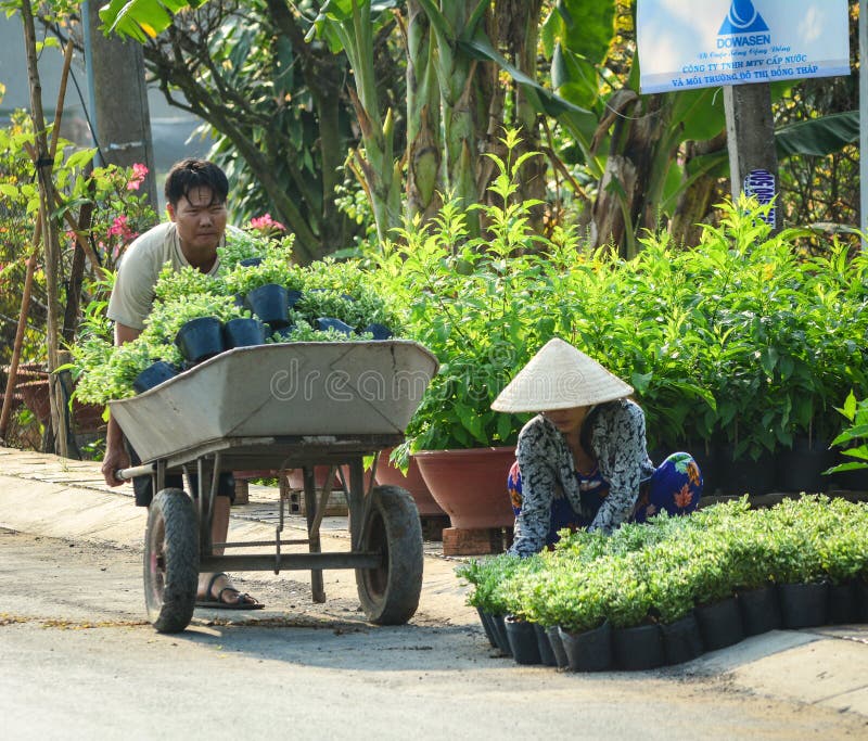 People Working at the Garden Editorial Stock Image - Image of building ...