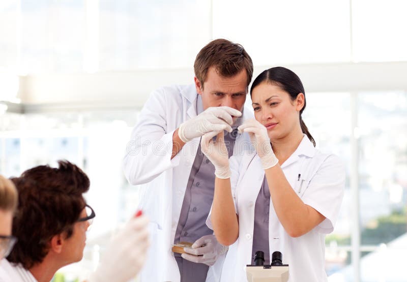 People Working in a Laboratory Stock Image - Image of outfit, chemistry ...