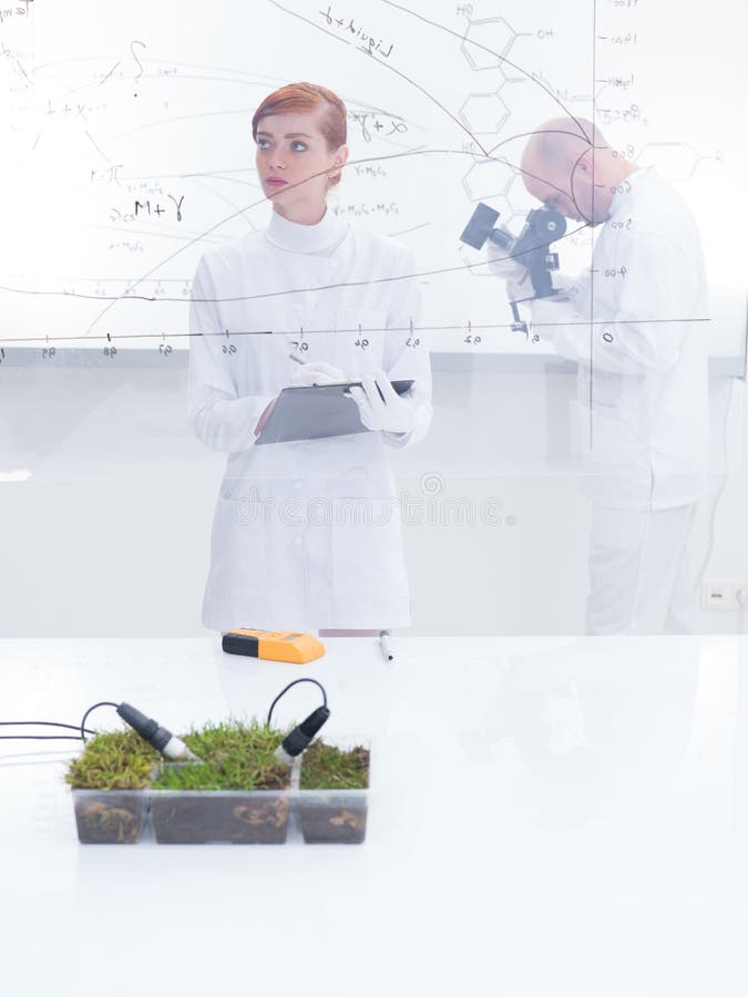 People Working in Laboratory Stock Photo - Image of appliedsciences ...