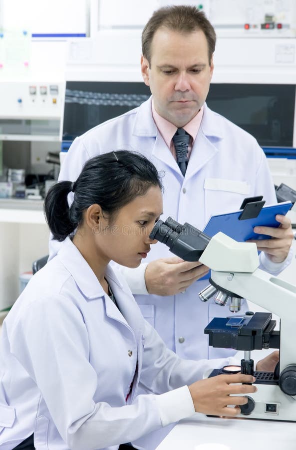 People Working in a Laboratory Stock Image - Image of concentrated ...