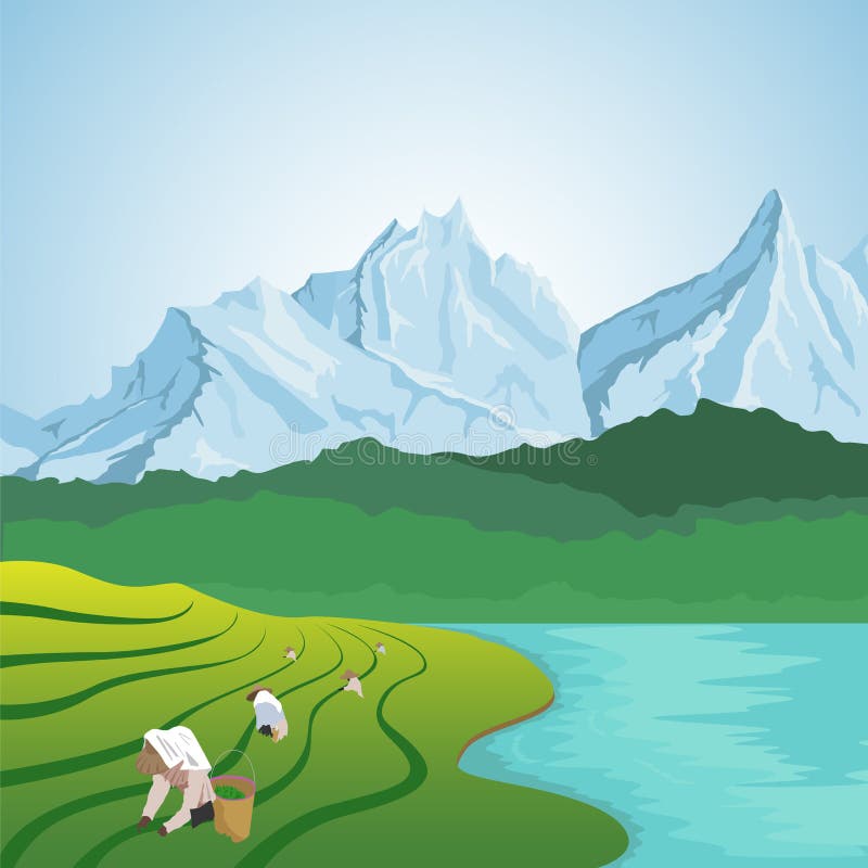 People Working in the Lush Fields of a Terraced Farm Near River on ...