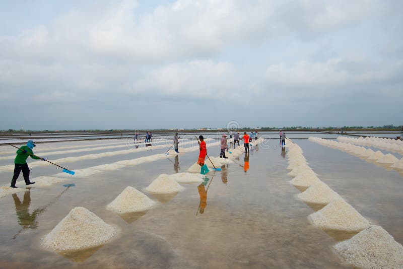 People are Working Together in the Salt Making Process in Thaila ...