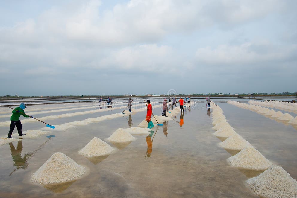 People are Working Together in the Salt Making Process in Thaila ...