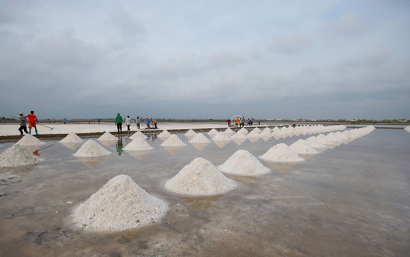 People are Working Together on the Traditional Salt Making Proce ...