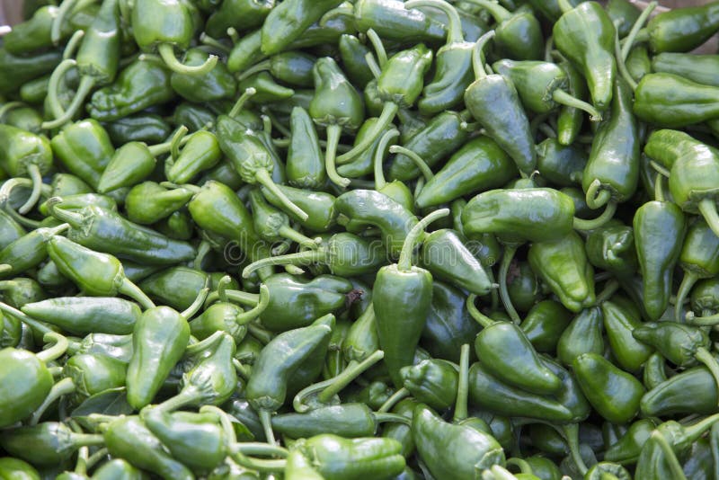 Peperoni verdi del padron fotografia stock. Immagine di verde - 21470050