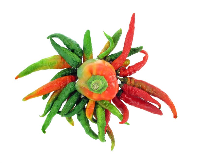 Peper stock foto. Image of veelkleurig, chili, kleurrijk - 12005270