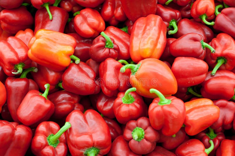 Peper stock foto. Image of plantaardig, rood, cultuur - 18427426