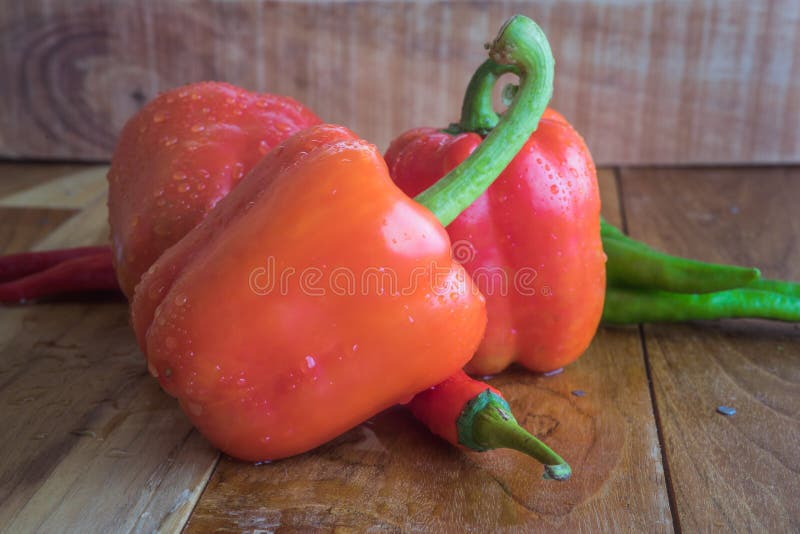 Peper and chilli stock image. Image of peper, nature - 57739425