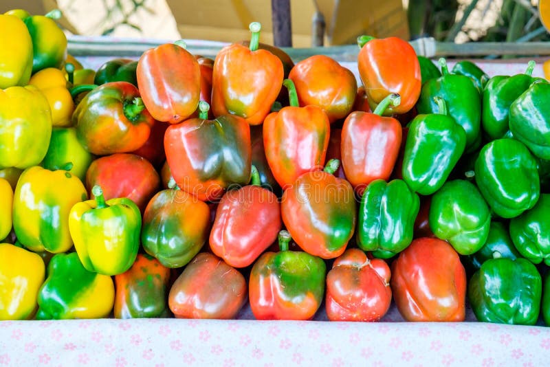 Peperone Verde, Peperone Dolce, Peperone Dolce, Paprica Fotografia ...