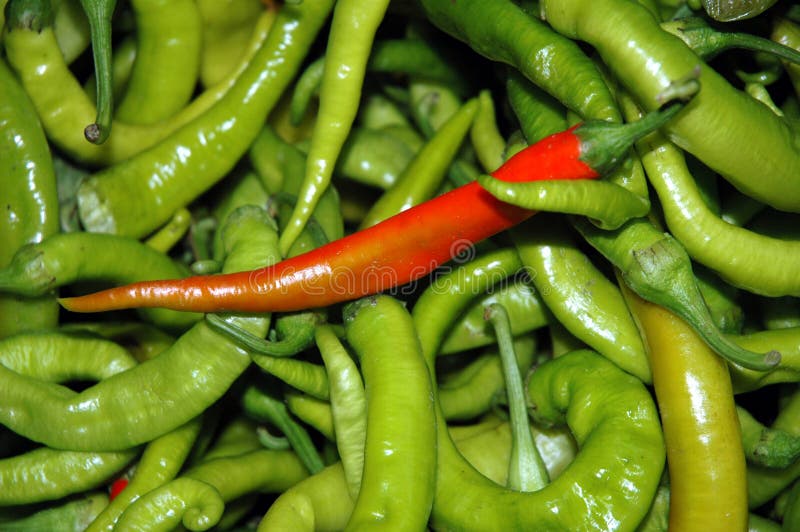 Peperoni stock photo. Image of burn, extremely, peperoni - 685476