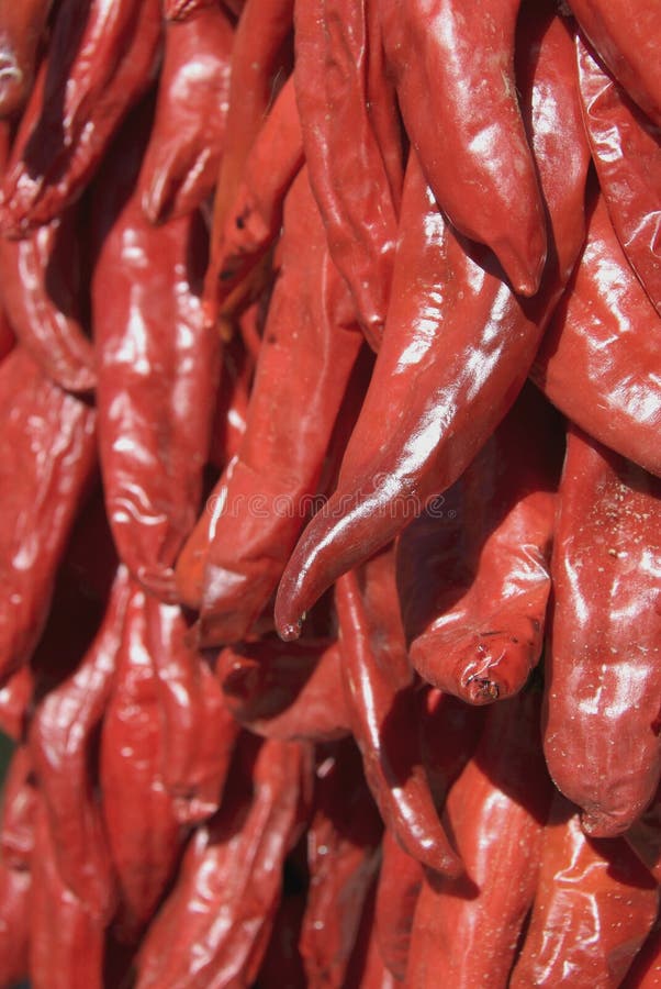 Peperoni Di Peperoncino Rosso Fotografia Stock - Immagine di jalapeno ...