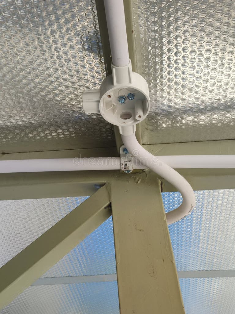 Peping Stock Photos - Free & Royalty-Free Stock Photos from Dreamstime