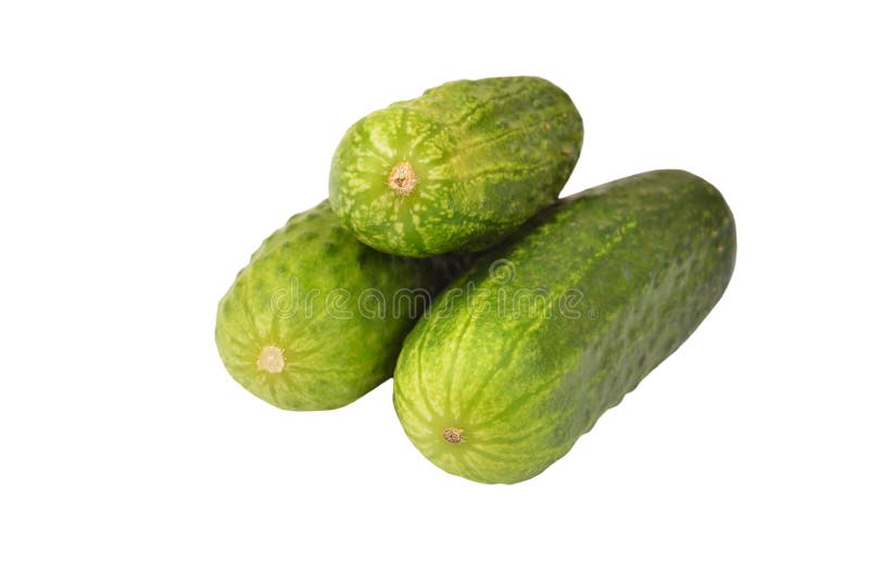 Pepinillo verde del pepino foto de archivo. Imagen de mini - 68952590