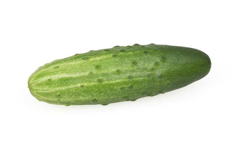 Pepino aislado en blanco imagen de archivo. Imagen de macro - 27456881