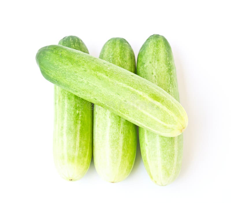Pepino aislado en blanco imagen de archivo. Imagen de vegetariano ...
