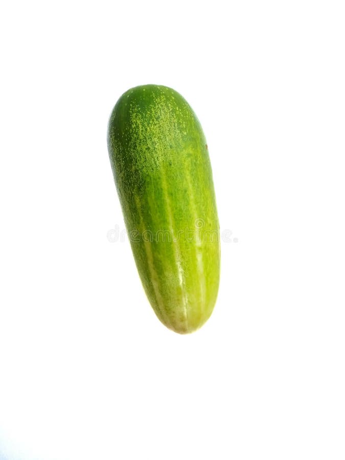 Pepino Blanco Aislado. Pepino Uno Aislado Blanco Imagen de archivo ...