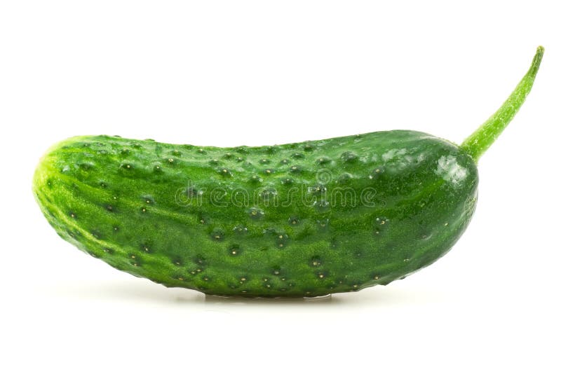 Pepino verde imagen de archivo. Imagen de agricultura - 14560917