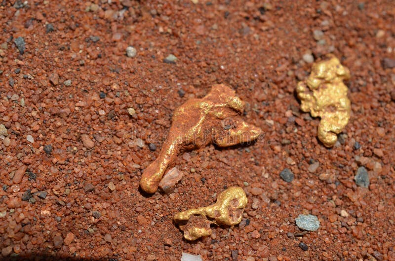 Pepite D'oro Sulla Neve, Scattate All'aperto Immagine Stock - Immagine ...