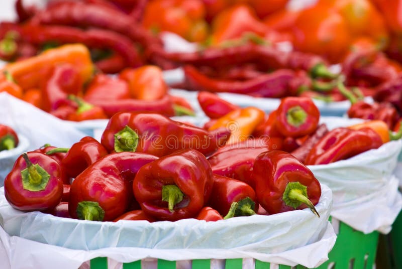 Peppar arkivfoto. Bild av nytt, producera, brigham, lantligt - 16010702