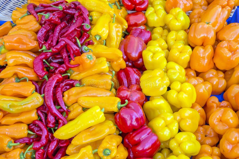 Spansk peppar arkivfoto. Bild av peppar, producera, klocka - 47673100