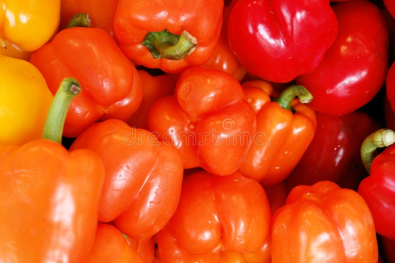 Spansk peppar arkivfoto. Bild av smak, paprika, brännhett - 6171576