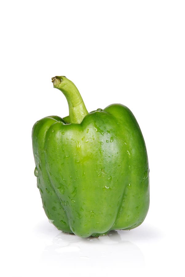 Pepper stock image. Image of peppers, still, produce, green - 230265