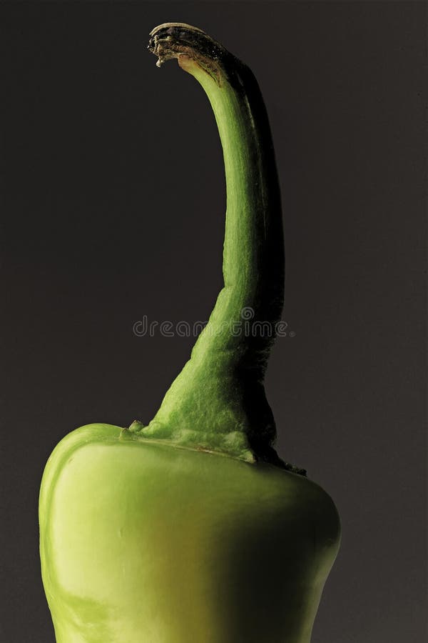 Pepper stock photo. Image of organic, stem, vegetable, light - 340272