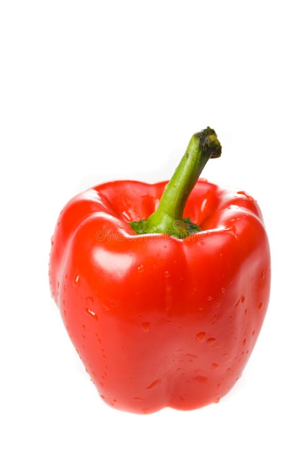 Pepper Picture. Image: 7780577