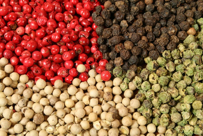 Pepper stock image. Image of green, peppers, aroma, spice - 8562889