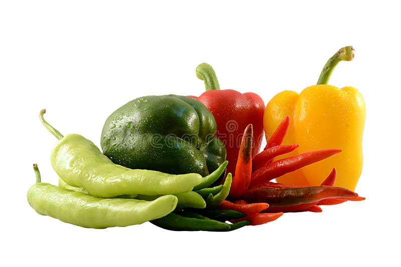 Pepper stock image. Image of computer, cooking, healthy - 43679149