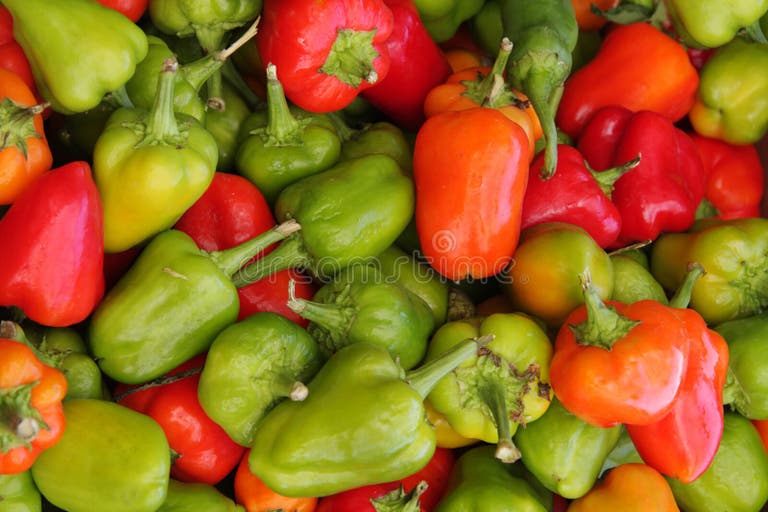 Pepper assortment stock photo. Image of culture, peppers - 6531672