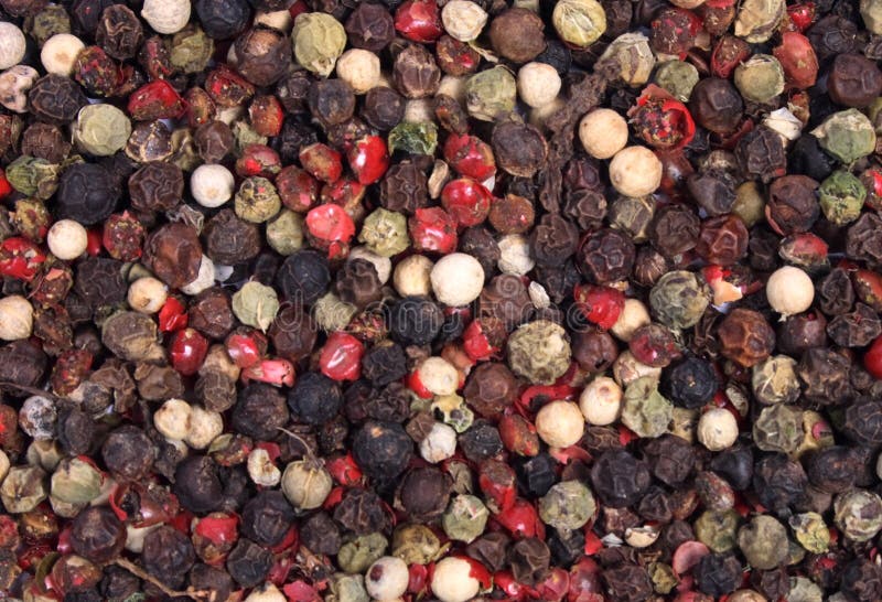 Pepper Background Picture. Image: 3967858