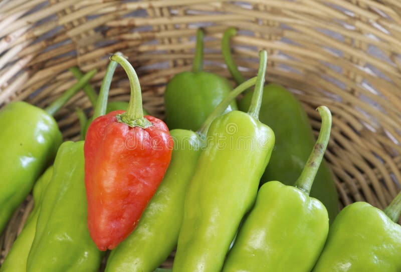 Pepper on basket stock image. Image of paprika, pepper - 37150391