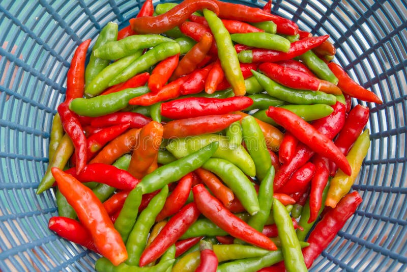 Pepper in basket stock photo. Image of healthy, isolated - 52366840
