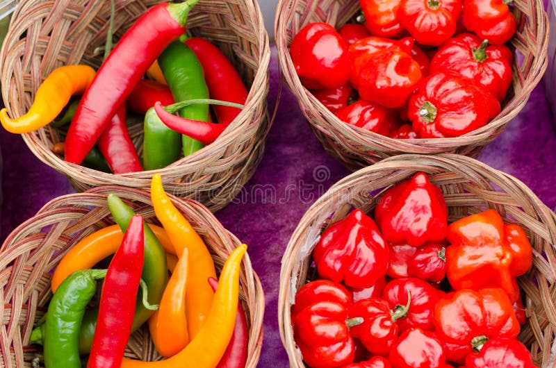 Pepper baskets stock image. Image of stem, organic, four - 50273983
