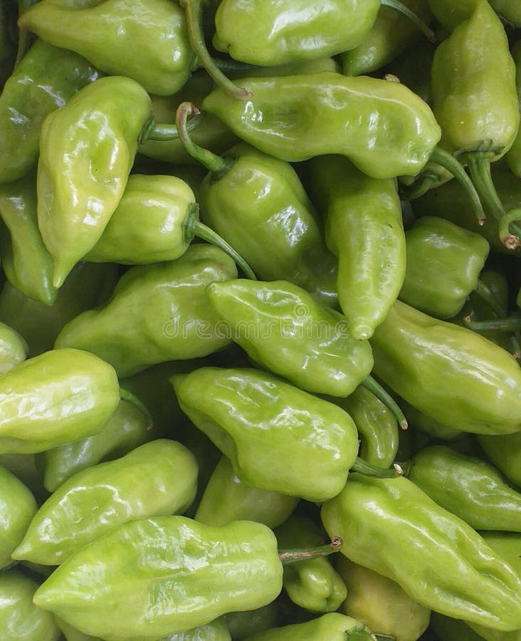 Pimenta Verde Stock Photos - Free & Royalty-Free Stock Photos from ...