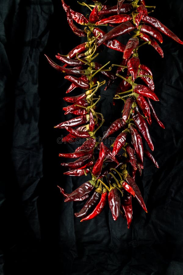 Red Hot Pepper String Isolated on White Background, Clipping Path ...