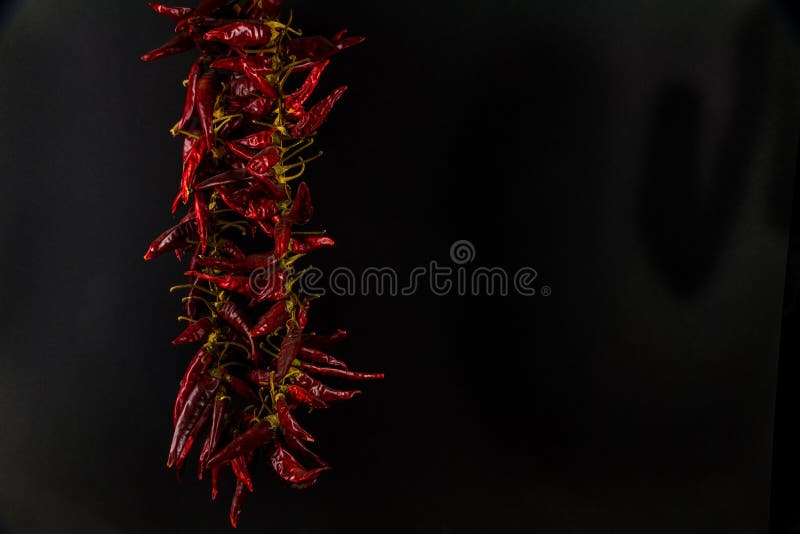 Red Hot Pepper String Isolated on White Background, Clipping Path ...
