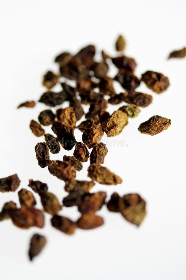 Pepper from Chilo stock photo. Image of pepper, focus - 23708654