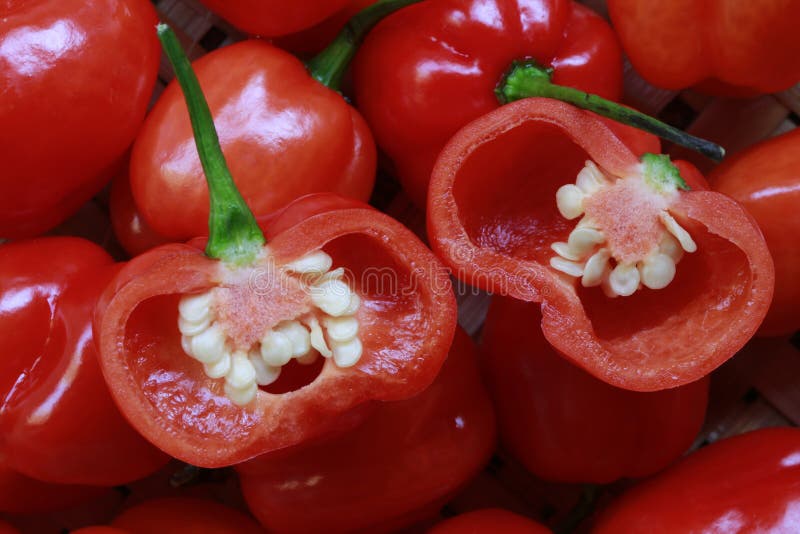 Pimenta-de-cheiro Ardida Pepper in White Background Stock Photo - Image ...